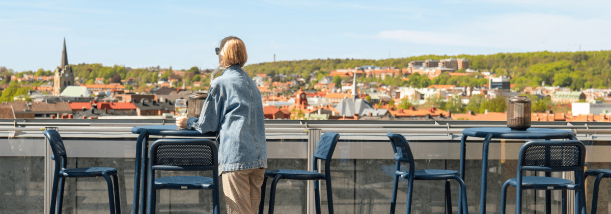 Ligula | Hotell & restauranger i Sverige, Danmark & Tyskland